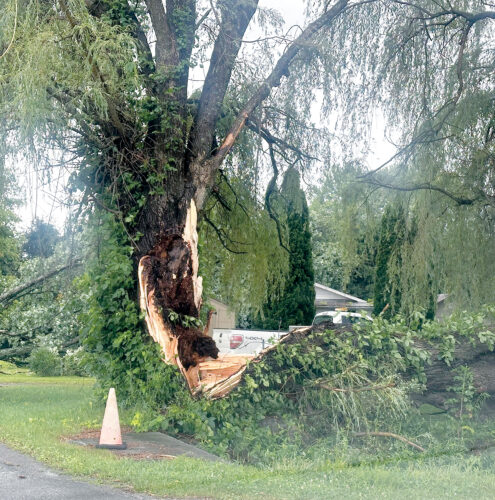 Severe Storm Damage | News, Sports, Jobs - The Intermountain